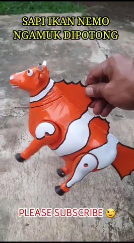 Wadidau!! Proses potong sapi moo, sapi ikan nemo - YouTube