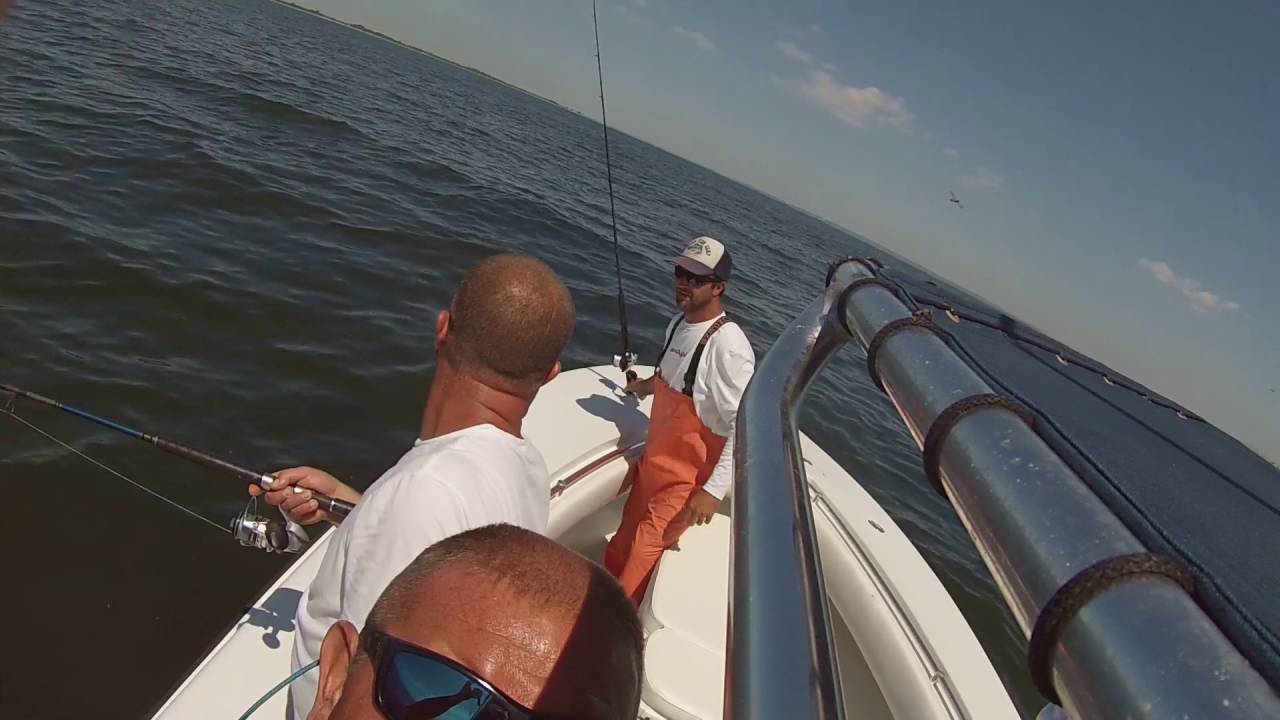 Big Stripers Fishing With Live Bunker - YouTube