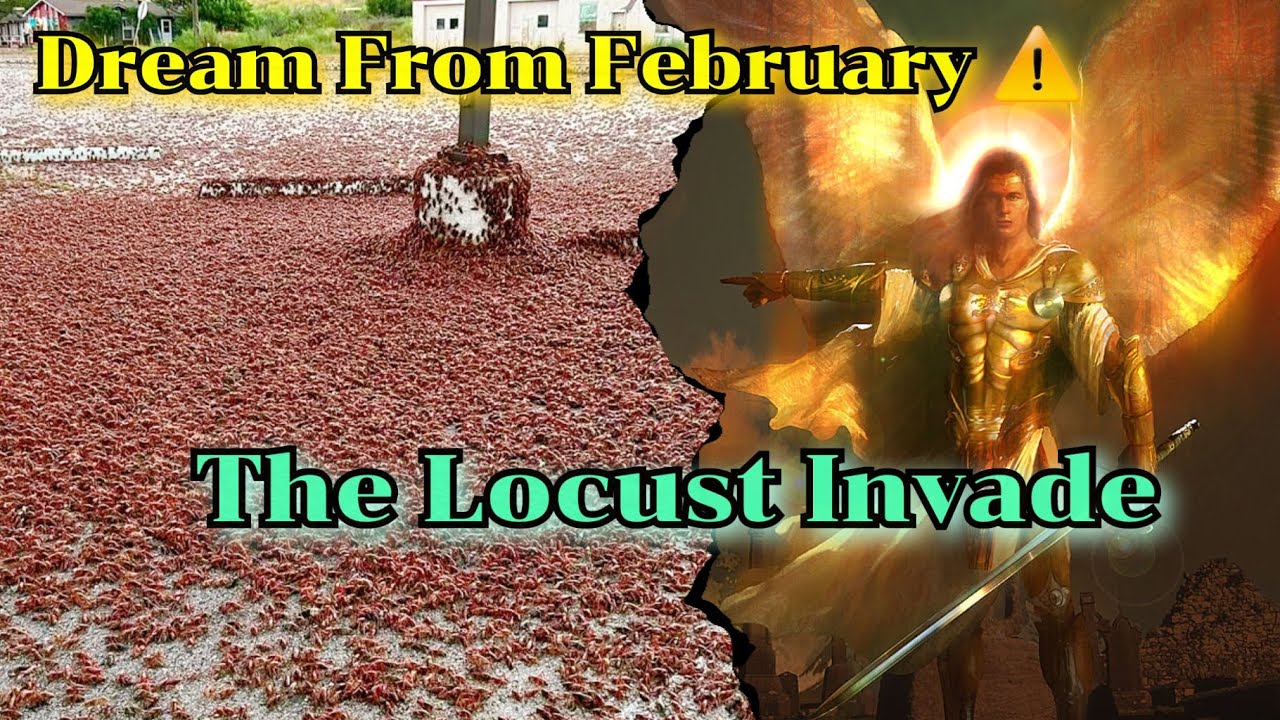 Dream Of Locust Invasion From February Manifests! #God #prophecy # ...