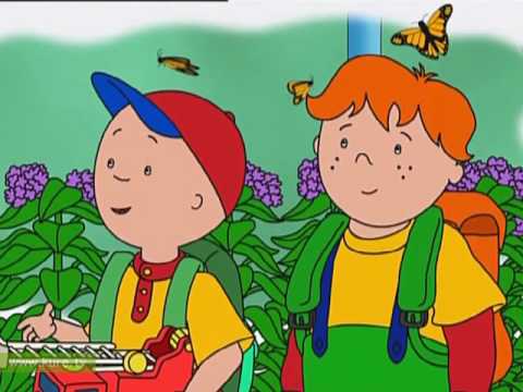 Caillou   Bölüm 100   Caillou kelebek sürprizi