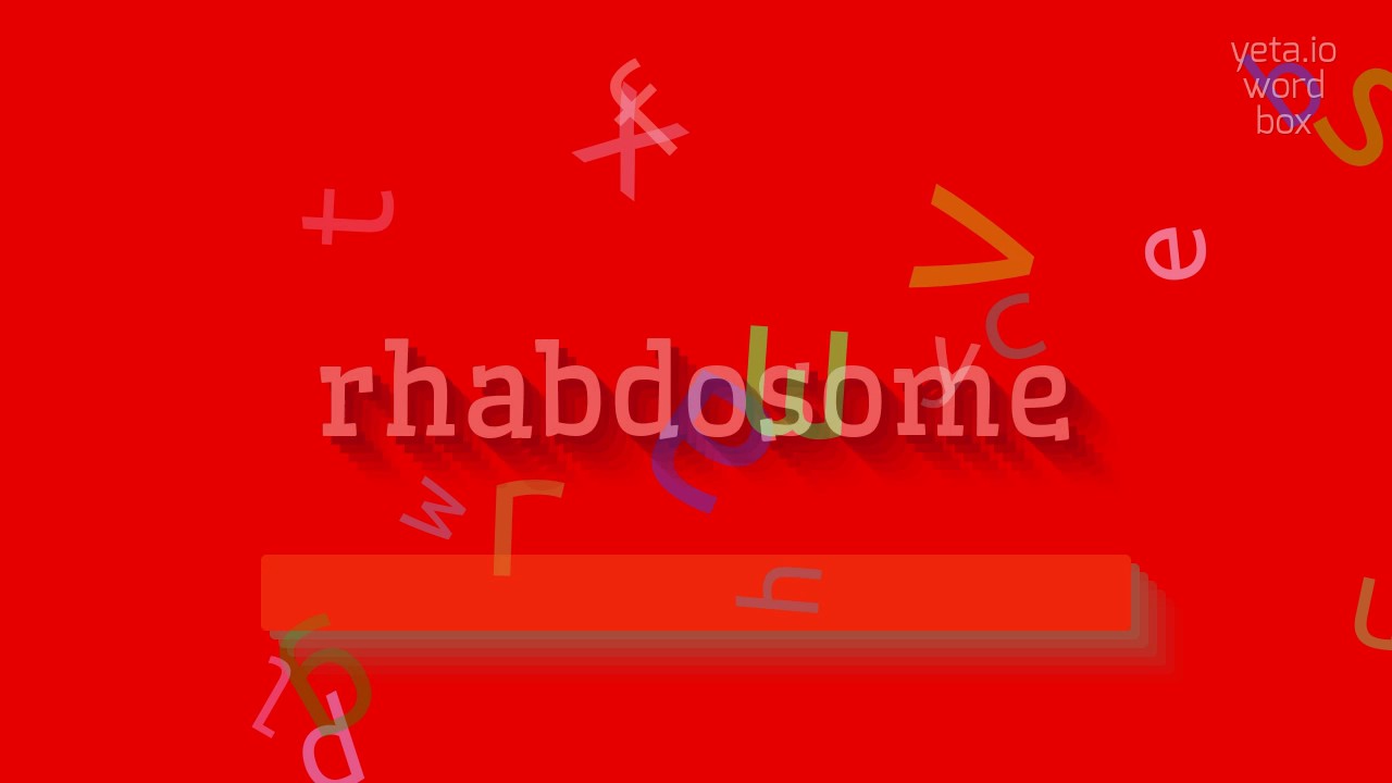 How to say "rhabdosome"! (High Quality Voices) - YouTube