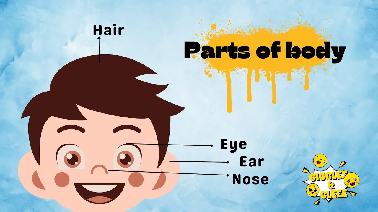 Body Parts Fun Adventure! Learn & Sing body parts | Parts of body - YouTube