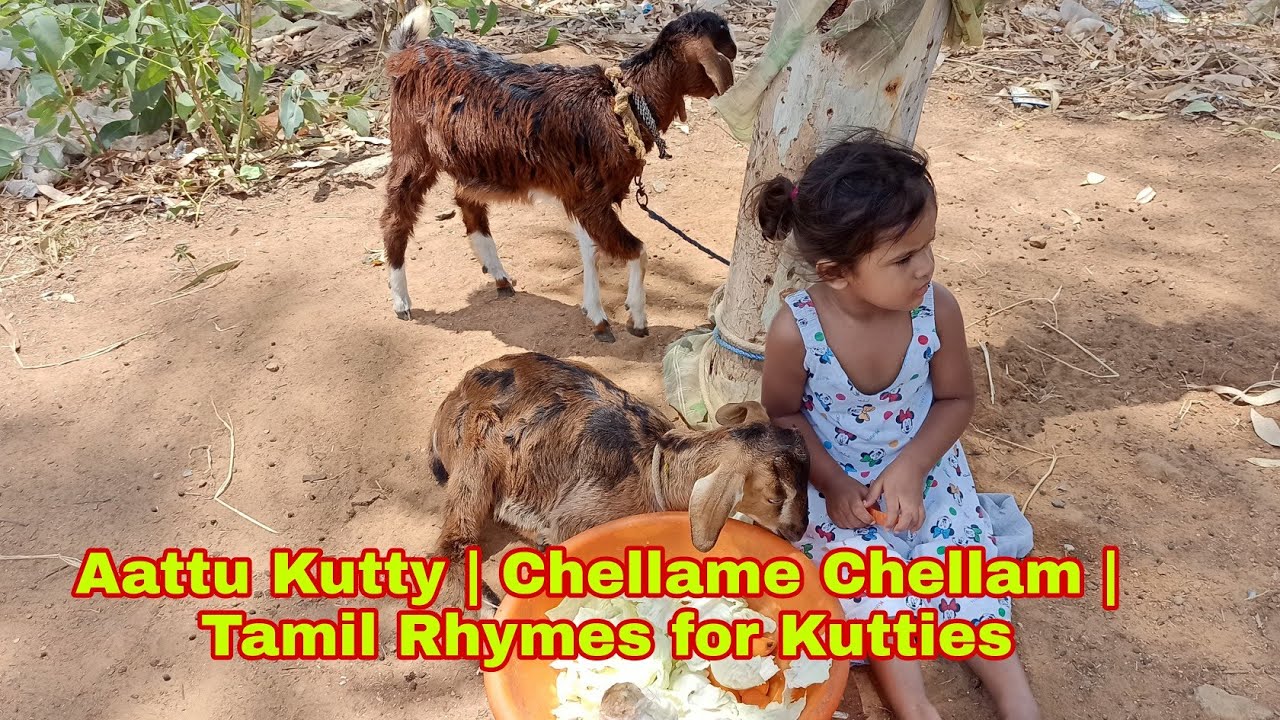 Aattu Kutty | Chellame Chellam | Tamil Rhymes for Kutties - YouTube