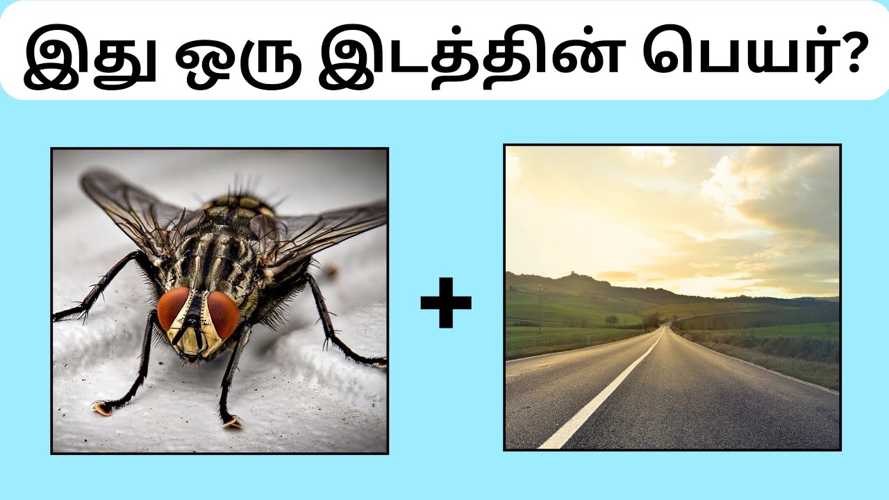 Connection Game In Tamil (part 10)| Riddles Tamil | Puzzles Tamil ...