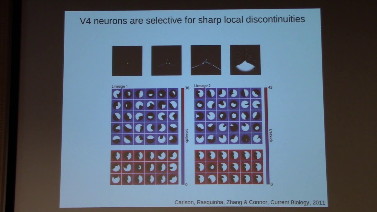 2018 Cognitive Neuroscience Workshop - Talk by Dr. Jack Gallant ...