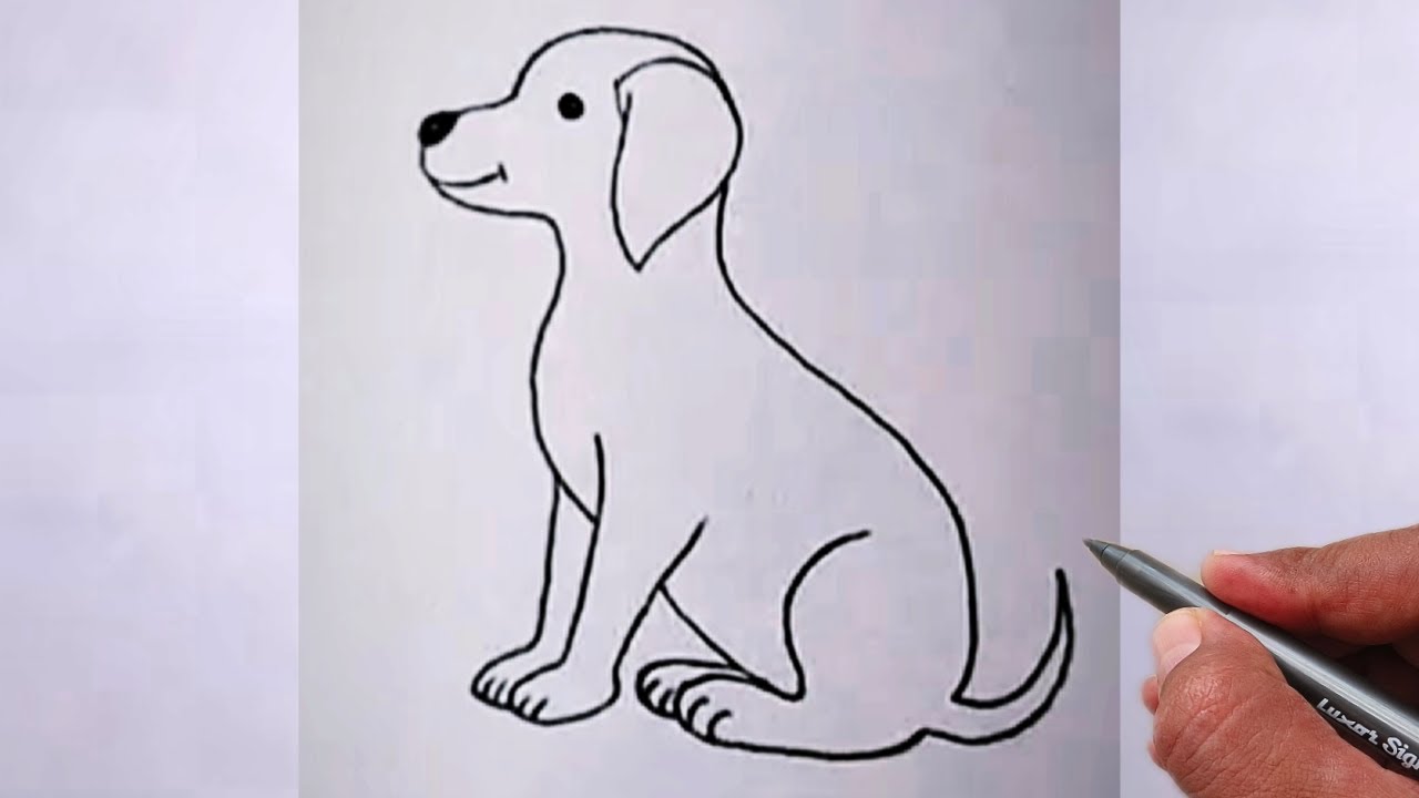 Dog Drawing Easy Step by Step For Beginners - YouTube