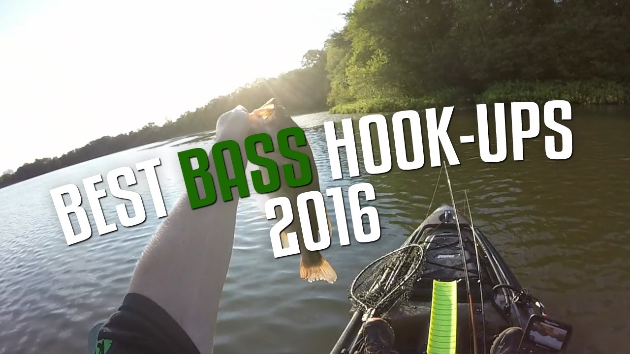 Best Bass Hook-Ups of 2016 - YouTube