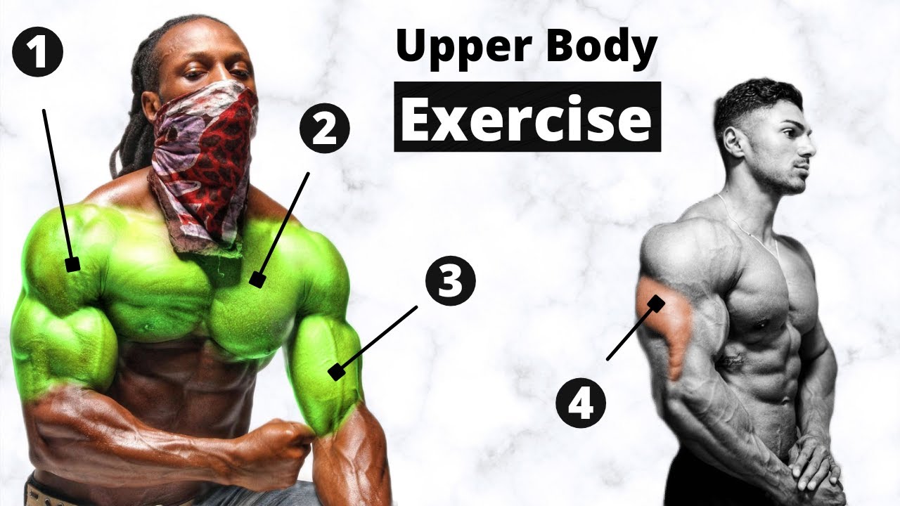 Ultimate Upper Body Physique Workout (Follow Along) - YouTube