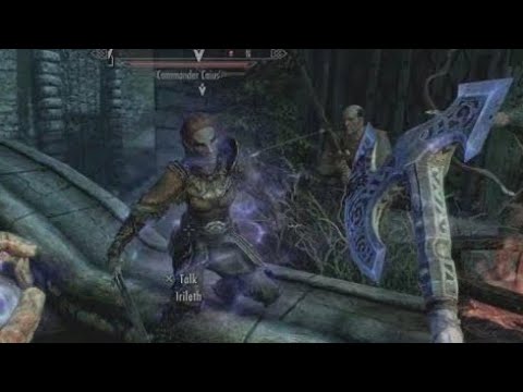 The Blue Lady & Guards vs Commander Caius (Skyrim) - YouTube