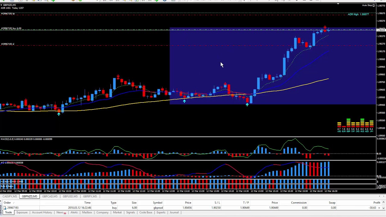 PIP TRIGGER - Trading System - YouTube
