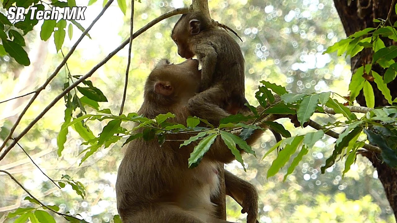 What are you doing Brady? Look so sweet mama Rose with her adopted boy ...