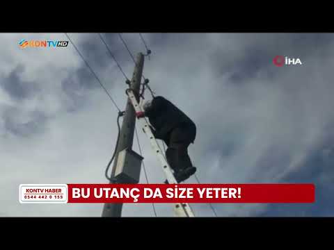 Organize kapkaç!