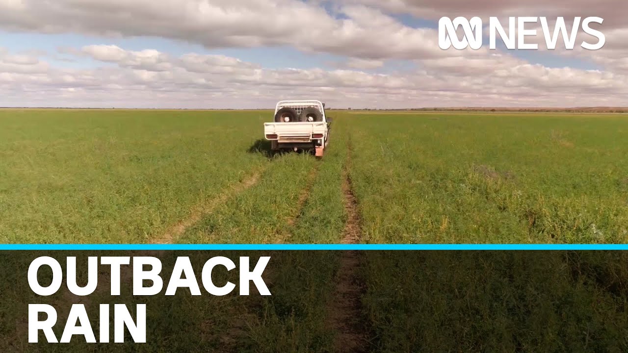Perfect rain delivers a lifeline for outback farmers in Queensland's ...