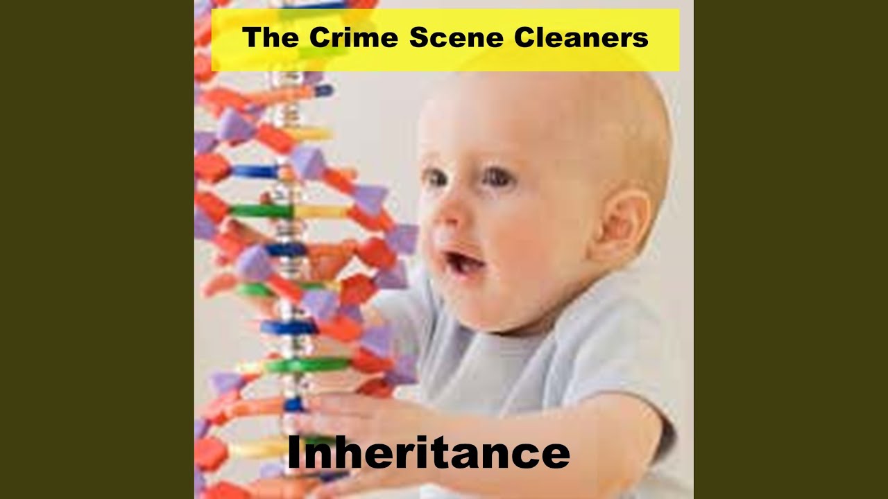 Inheritance Youtube 0952