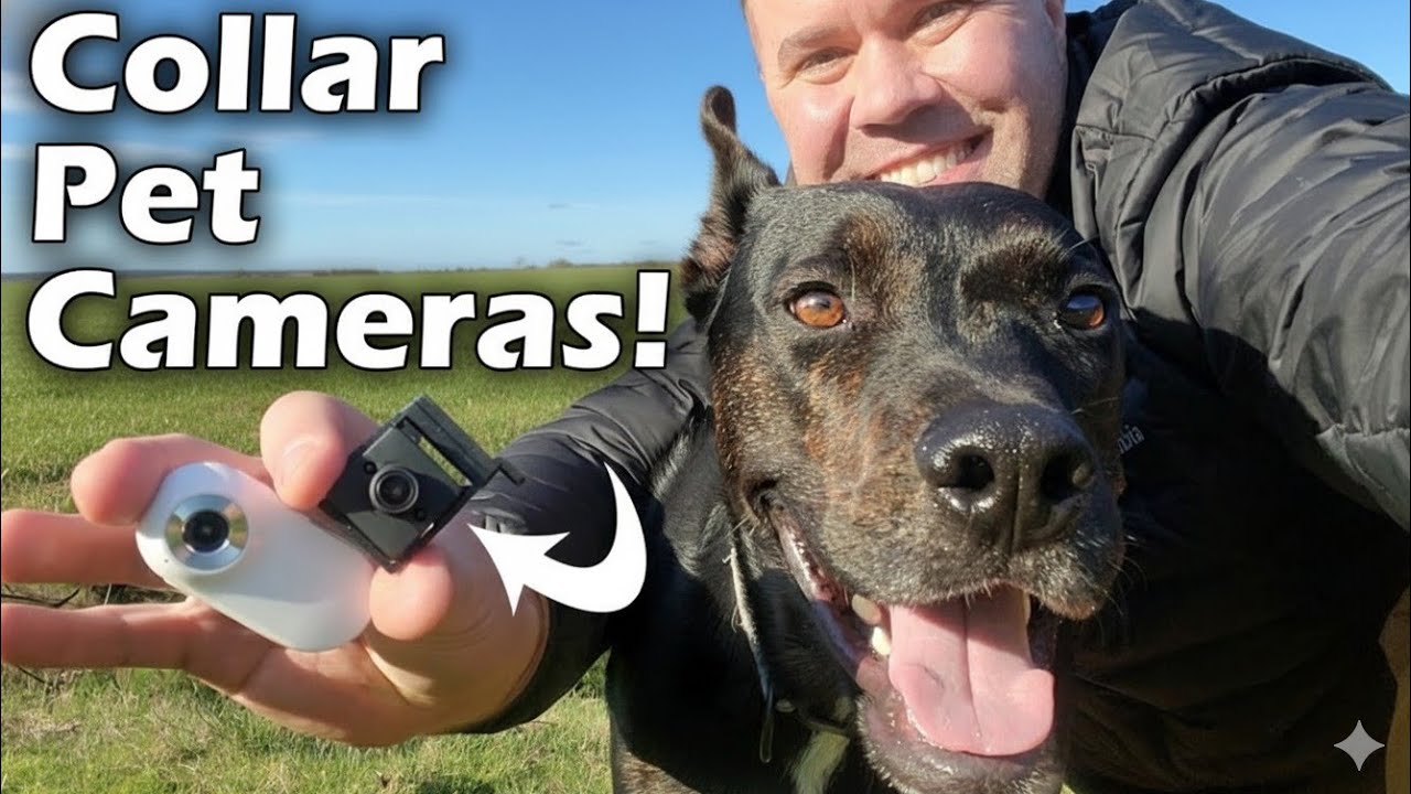 Best Collar Pet Camera Review - Mr Petcam HD vs A100 - Which is the ...