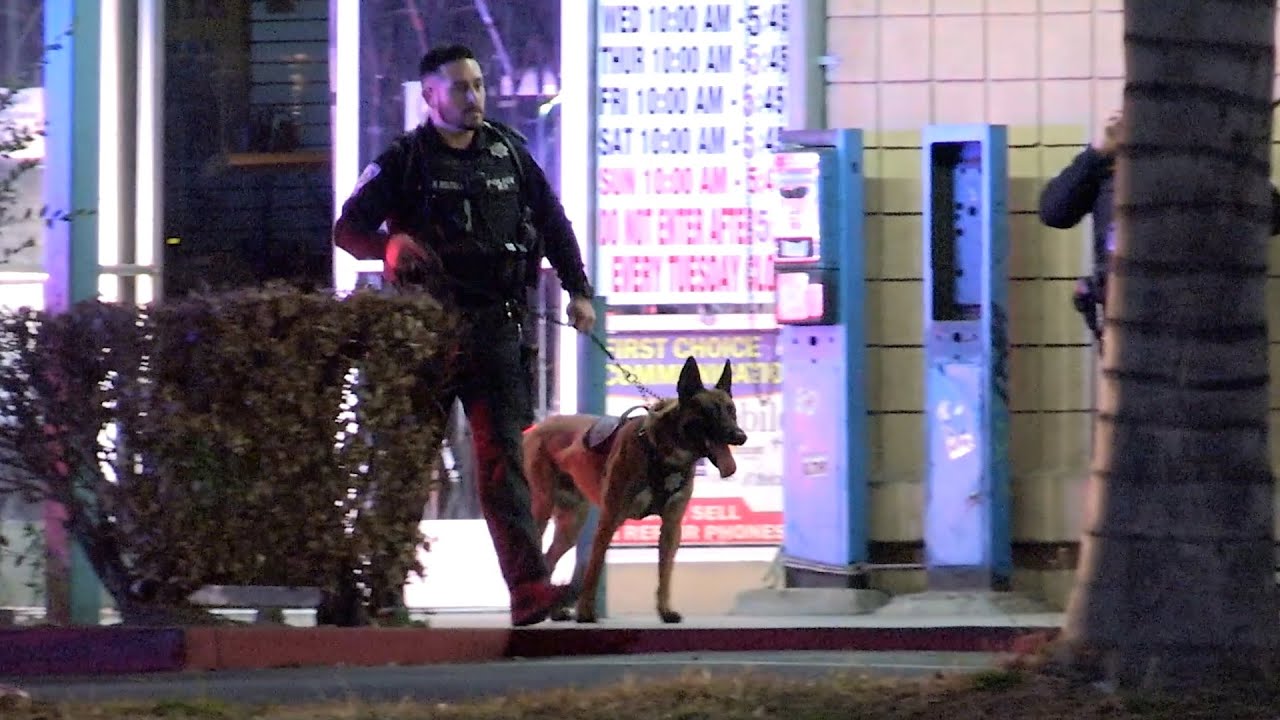Burglary Suspect Taken Down By K-9 Dog - YouTube