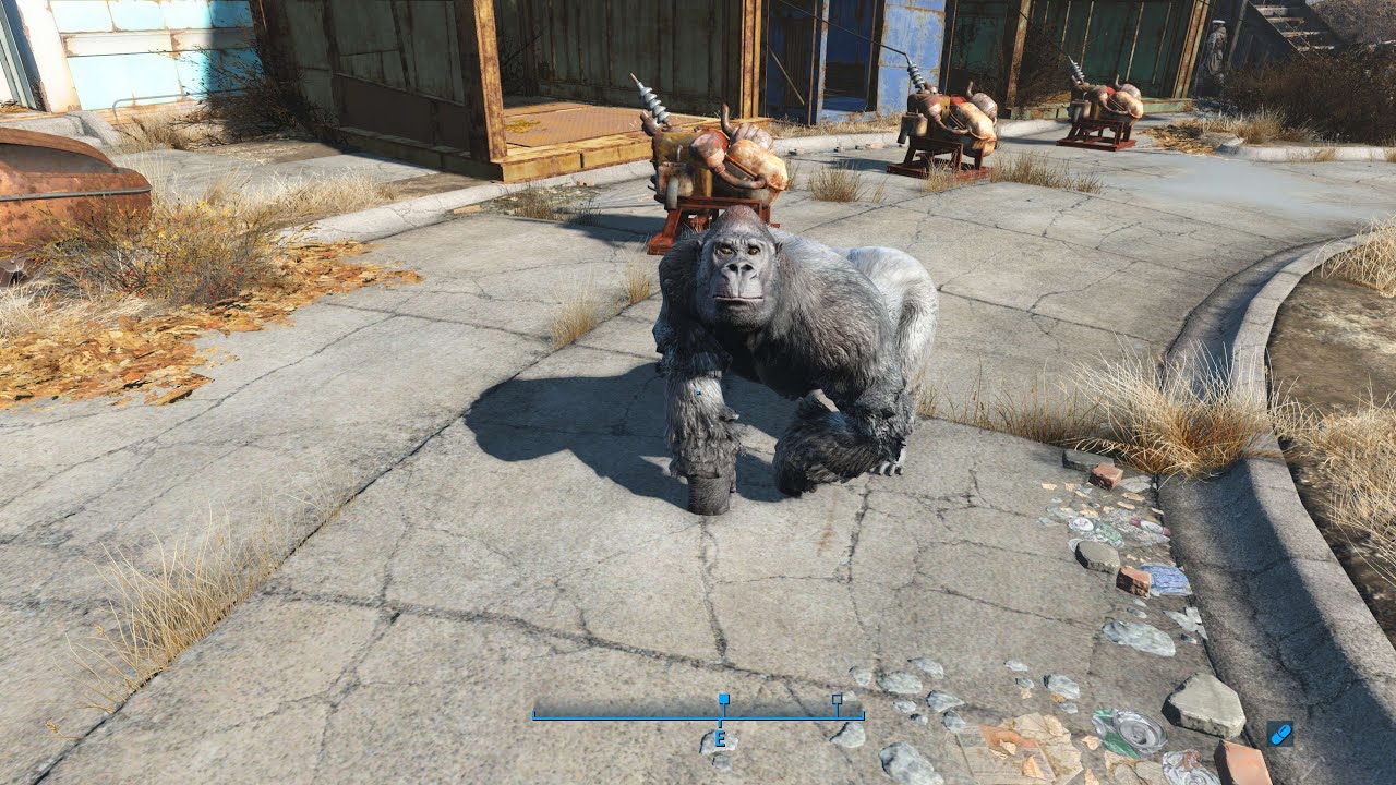 Fallout 4 | The only tamed Gorilla caught in Gorilla Cage. - YouTube
