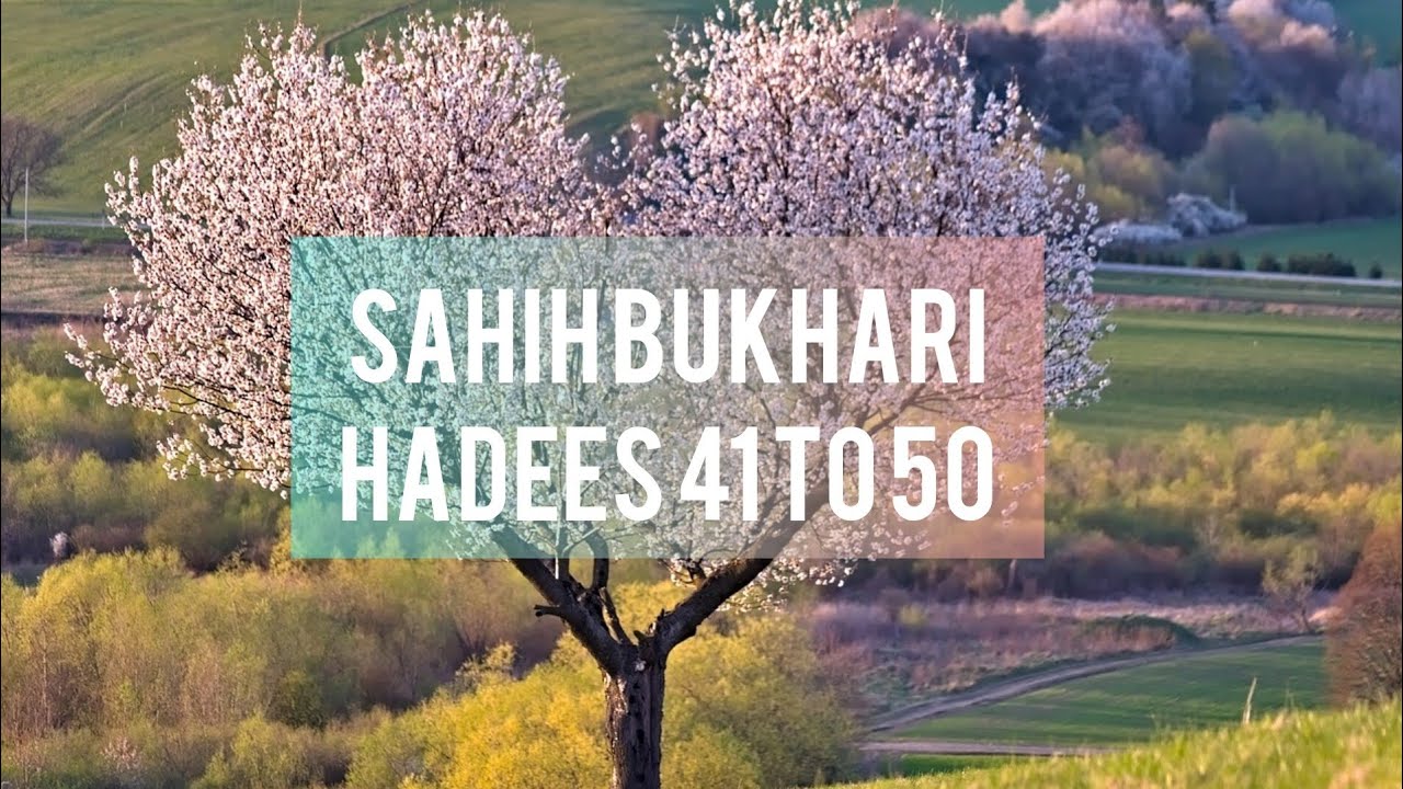 SAHIH BUKHARI HADEES 41 TO 50 URDU TRANSLATION - YouTube