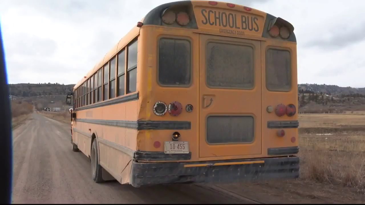 School bus hit by semi in Carbon County; no injuries reported - YouTube
