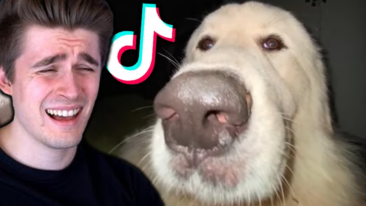 Ludwig Reacts to Unusual Memes that are ACTUALLY funny - YouTube