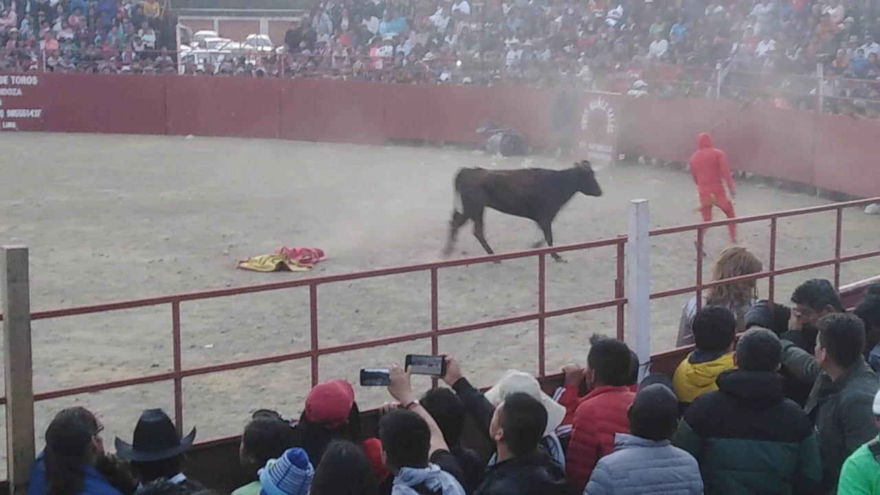 CORRIDA DE TOROS EN MARCARÁ 2019 - YouTube