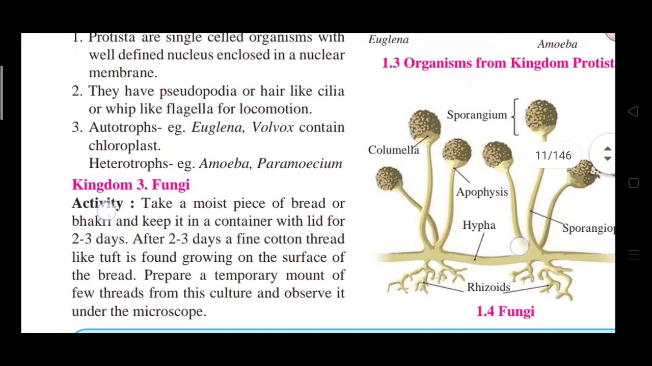8th Standard Science Lesson No 1 YouTube 8th-standard-science-lesson-no-1-youtube