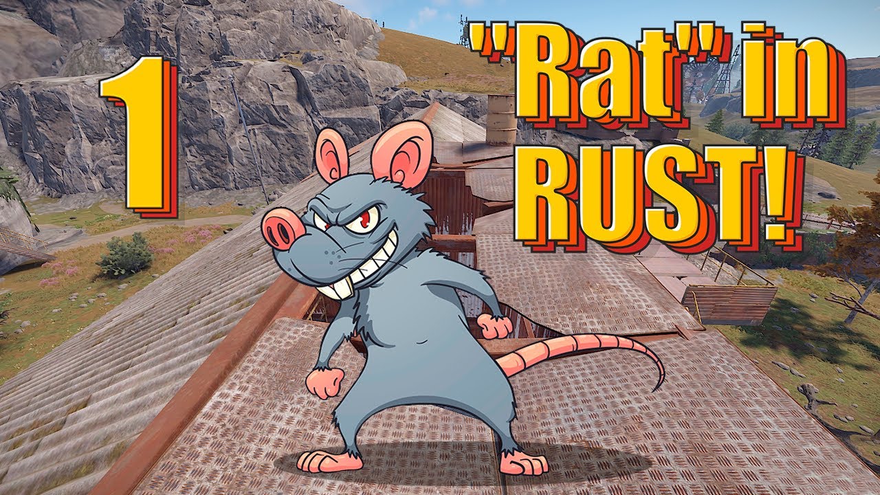 "Rat" in RUST! This game is a pain! - YouTube