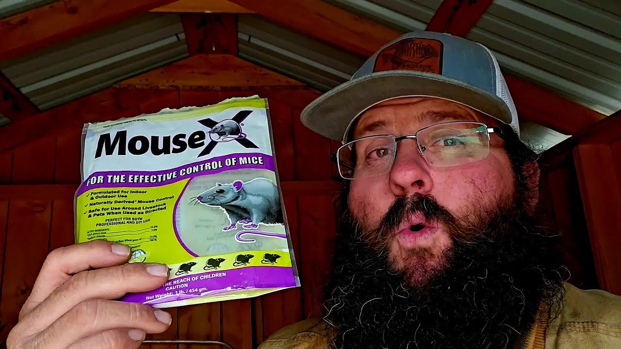 Mouse X trial results - YouTube