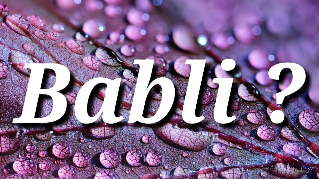 Babli Name Ke Meaning | Babli Naam Ka WhatsApp Status | Babli Name Ke ...