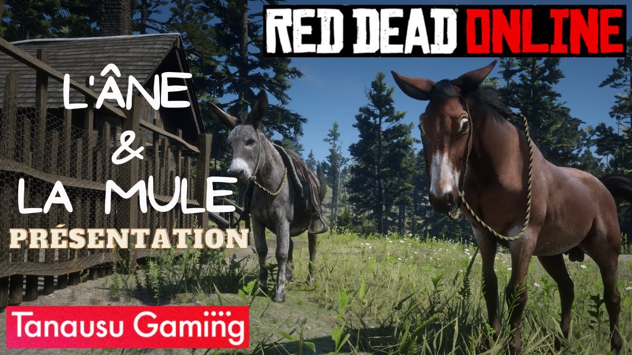 Red Dead Online - L'âne et la mule - YouTube