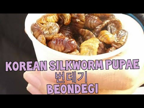 KOREAN SILKWORM PUPAE/ BEONDEGI/ 번데기 - YouTube