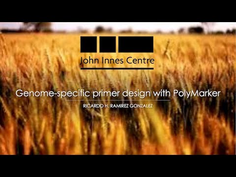 Webinar: Genome specific primer design with PolyMarker - YouTube