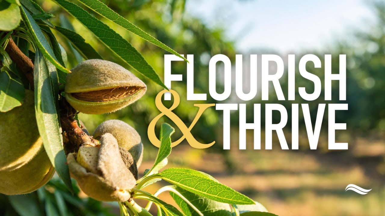 Flourish and Thrive Week Three - January 19, 2025 - YouTube