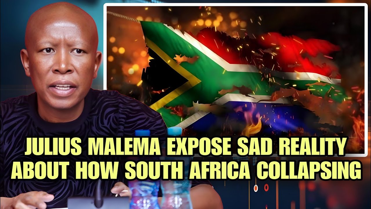 Julius Malema Expose Sad Reality About How South Africa Is COLLAPSING ...