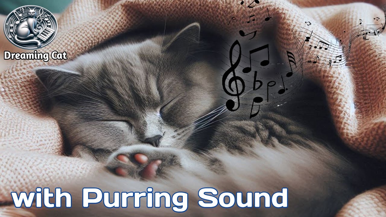 Calming Music for Cats - Peaceful Piano Music with Cat Purring Sounds ...