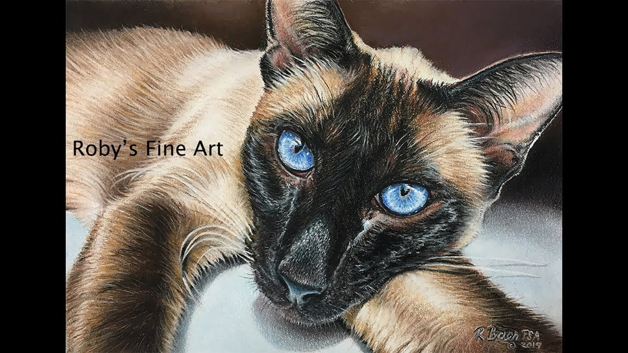 Siamese Cat Pastel Demonstration by Roby Baer PSA - YouTube
