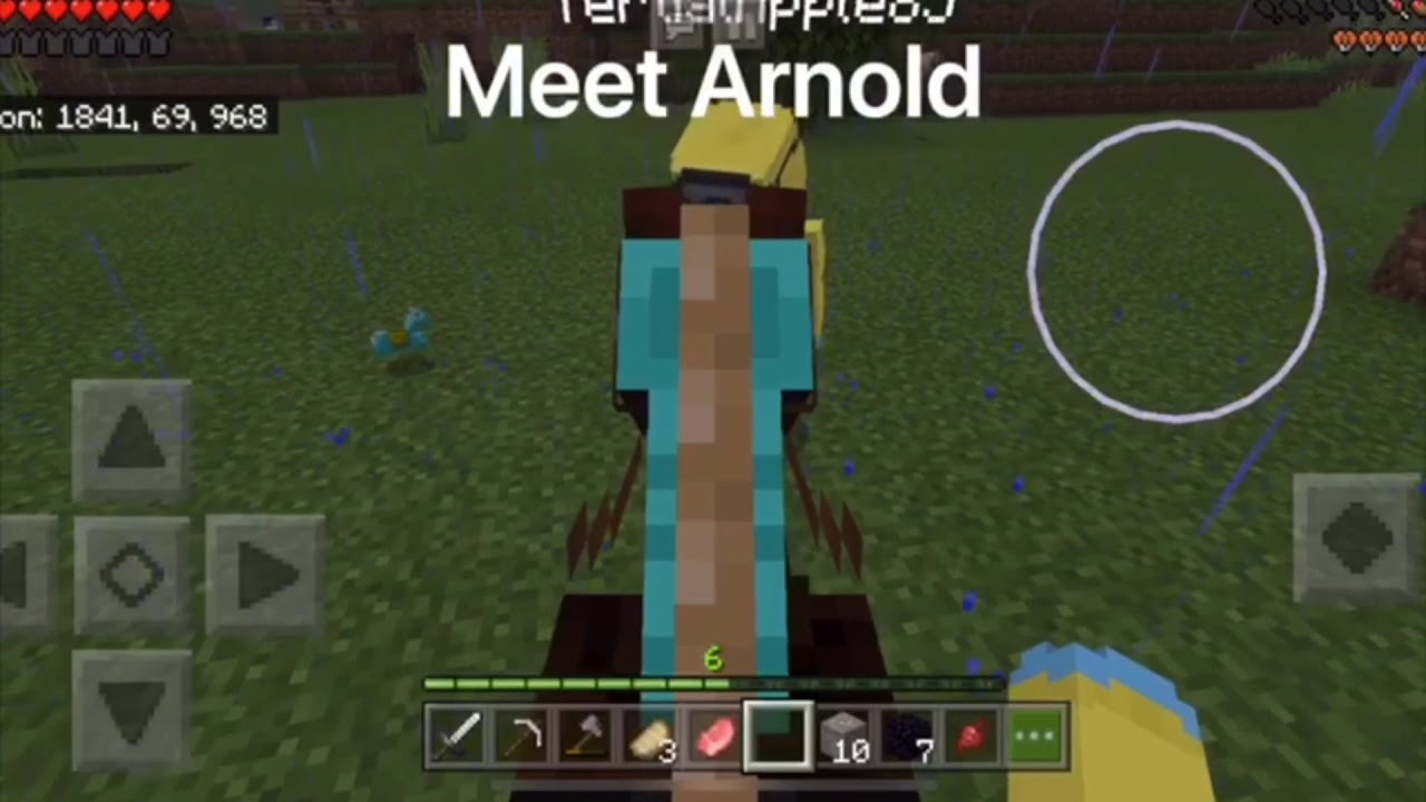 ARNOLD! Minecraft #1 - YouTube