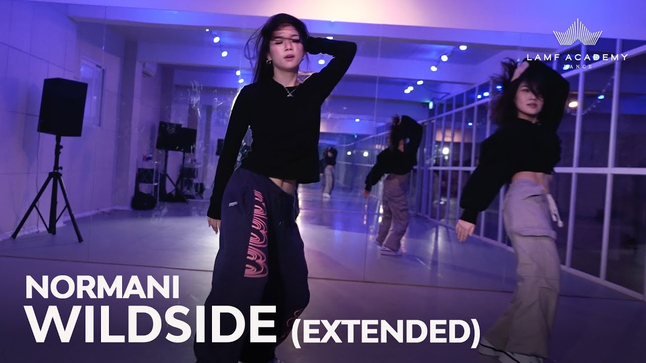 Normani - Wild Side (Extended)│Welchi CHOREOGRAPHY - YouTube