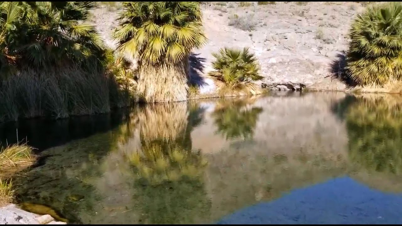 Water in the Desert | Roger’s Spring | Lake Mead National Park, Nevada ...