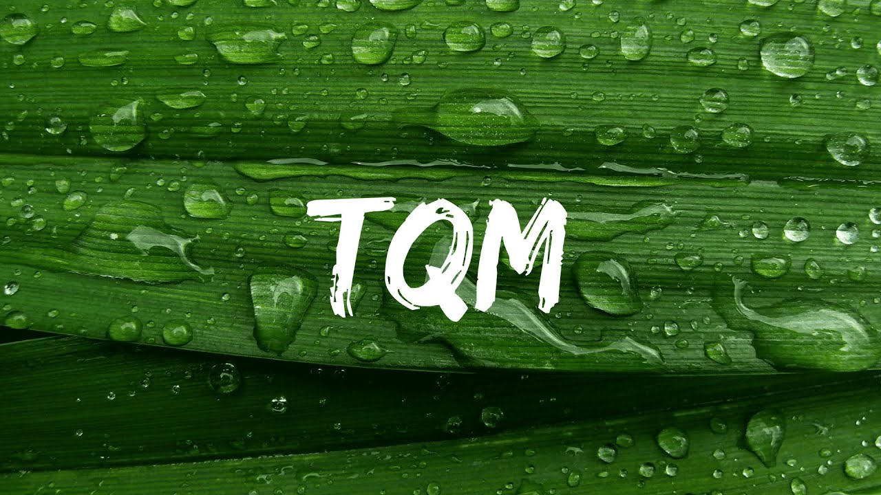 Fuerza Regida - TQM (Letra/Lyrics) - YouTube