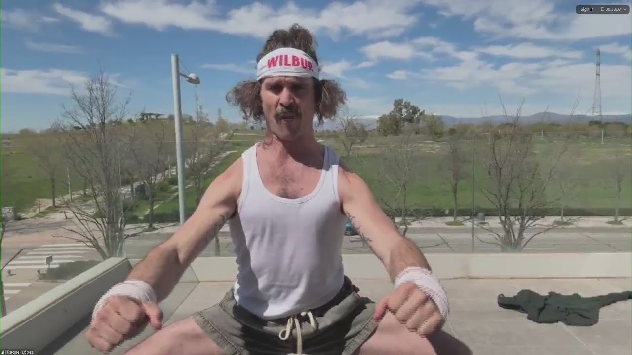 Wilbur is back! Here's his stunt of the day - YouTube