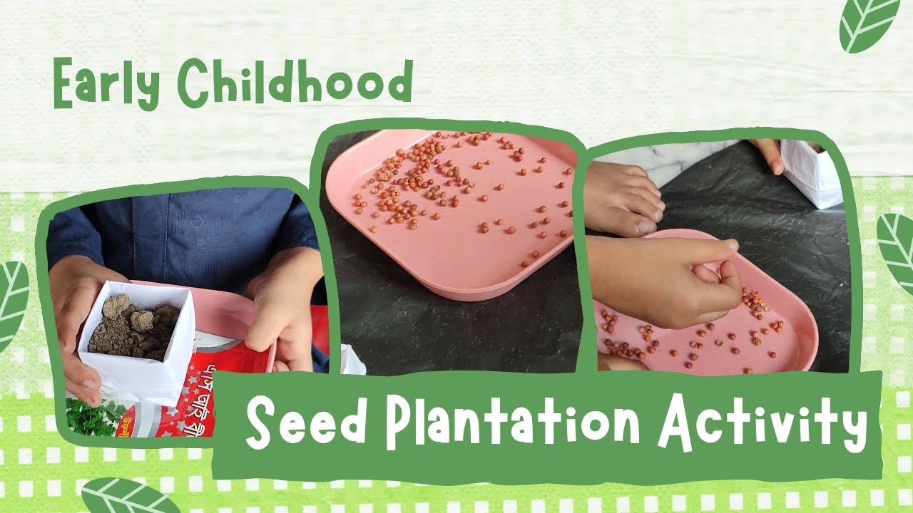 Early Childhood Seed Planting Activity | Learning with Nature at ...