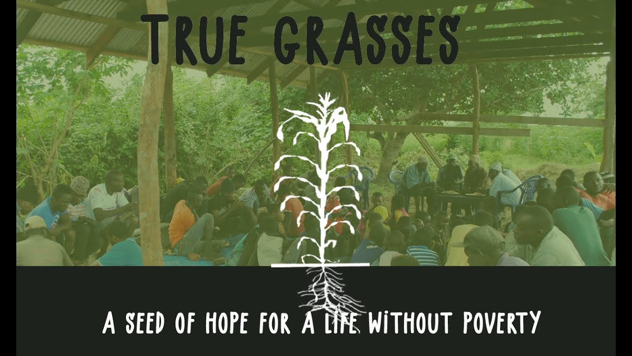 Promotion True Grasses EN - YouTube