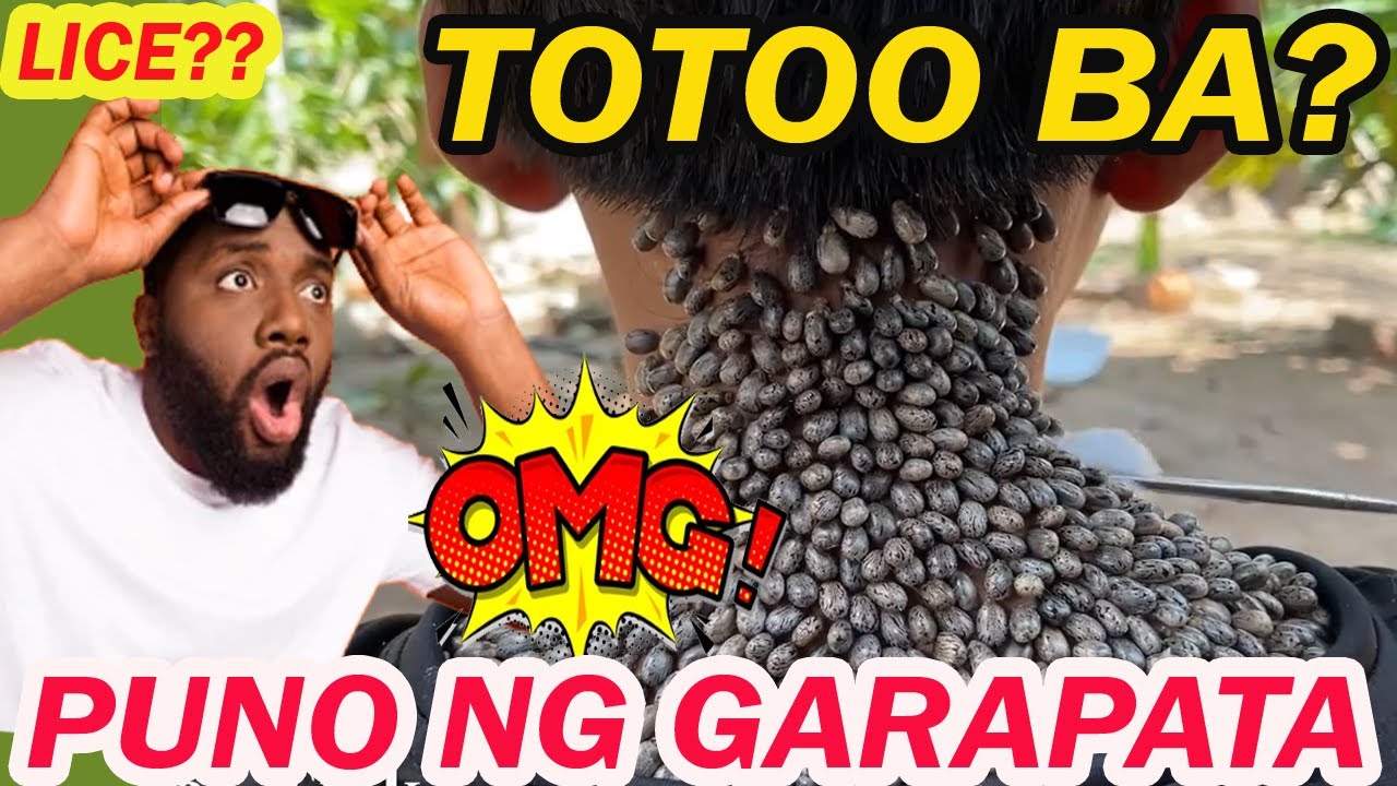 GARAPATA DUMIKIT SA BALAT NG TAO TOTOO KAYA ITO #tick - YouTube