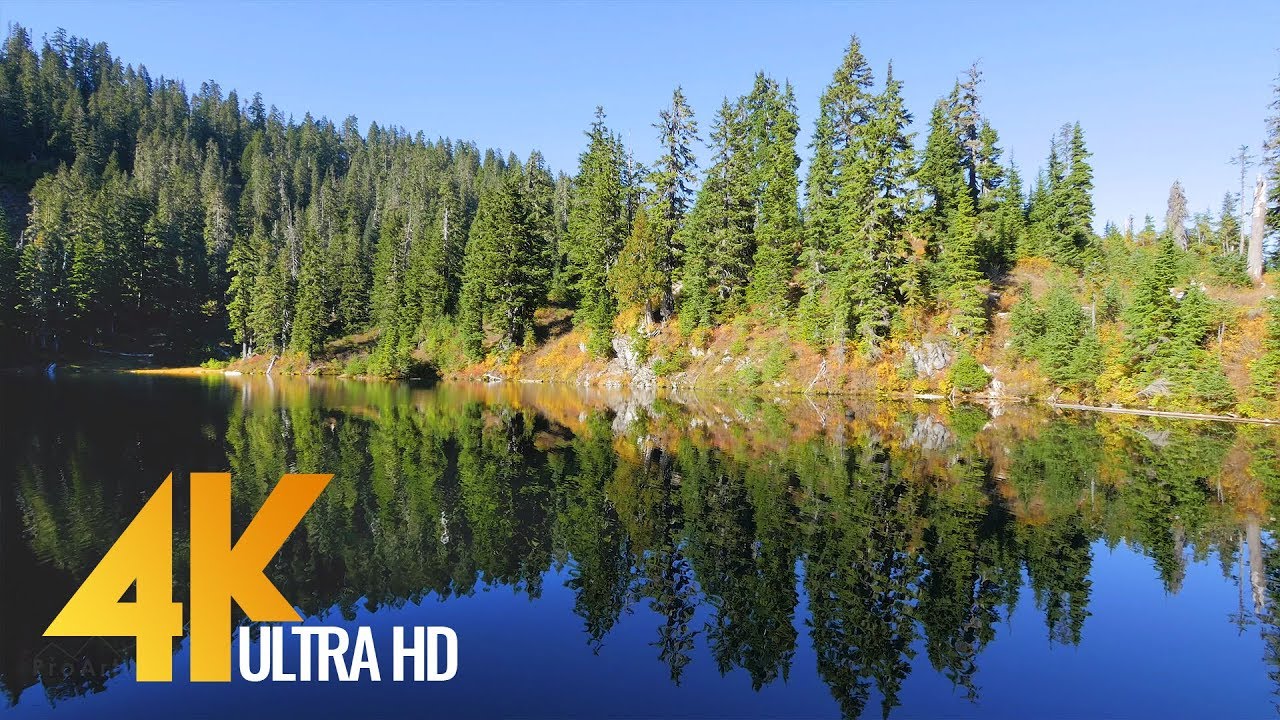 4K Fascinating Forest Lake - Autumn Forest - Relaxing Nature Video ...