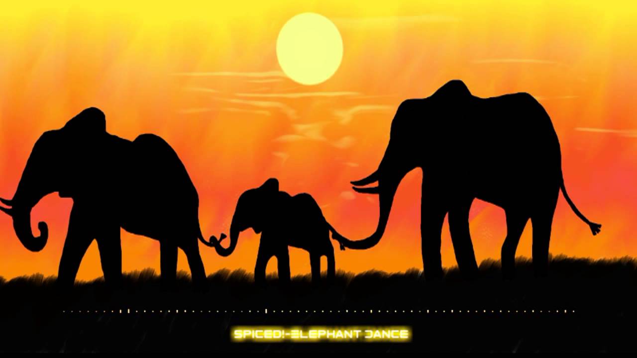 Spiced! - Elephant Dance - YouTube