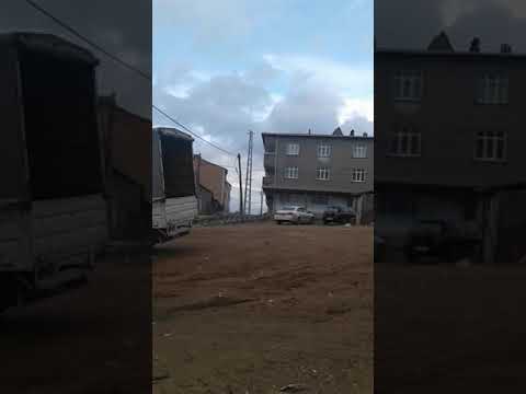 ARAP TAKLACI GÜVERCİN ÇOK GÜZEL OYUNLU