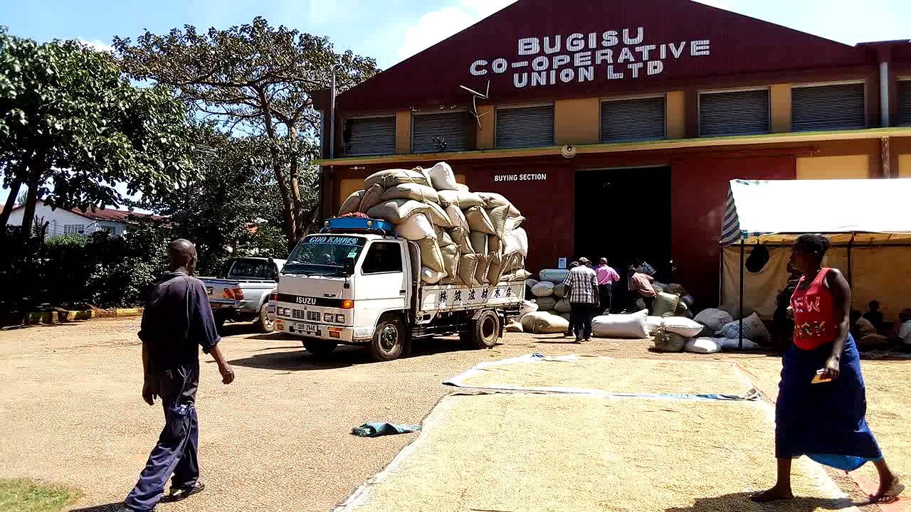 More is coming at Bugisu Cooperative Union Ltd - YouTube