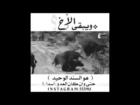 حالات واتساب عن الاخ ☹.....جديد