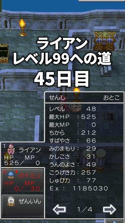ライアンレベル99への道 45日目 #ドラクエ #ドラクエ4 #ドラゴンクエスト - YouTube